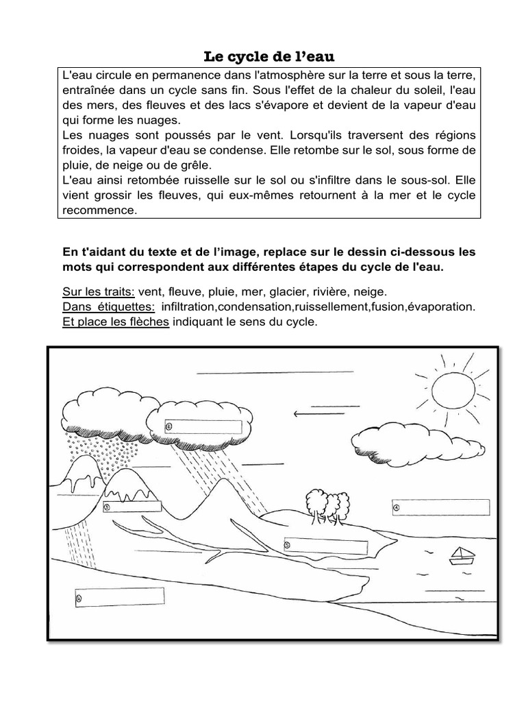 Comprendre le cycle de l'eau | PDF | Cycle de l'eau | Pluie
