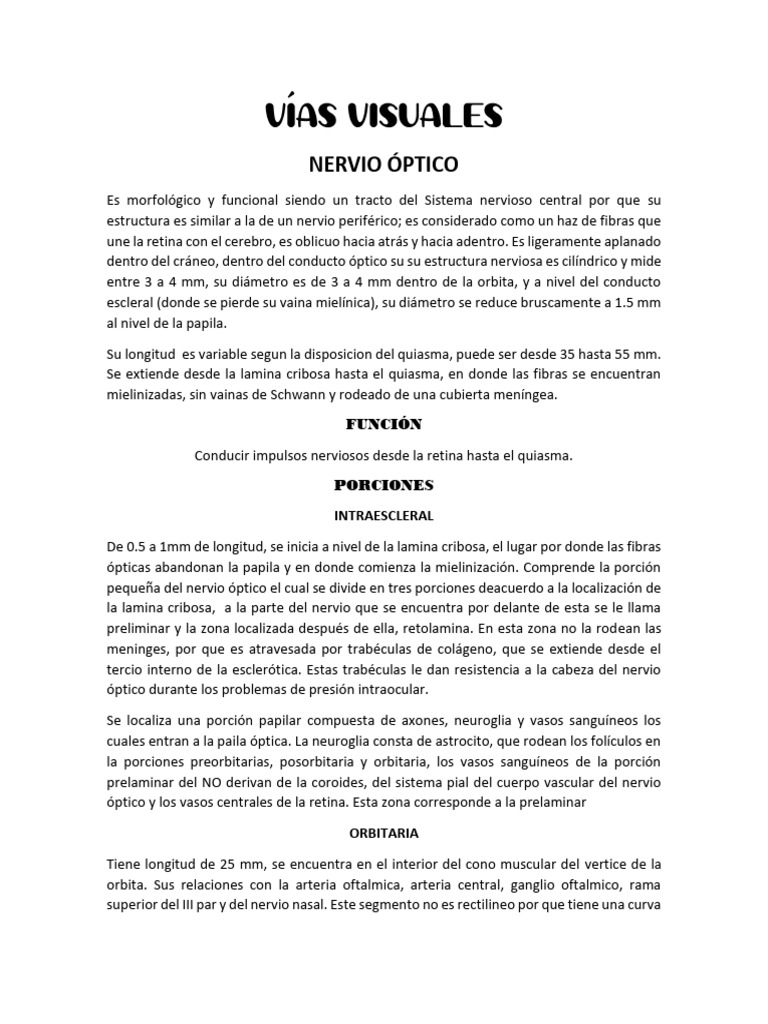 Vias Visuales | PDF | Lóbulo occipital | Percepción visual