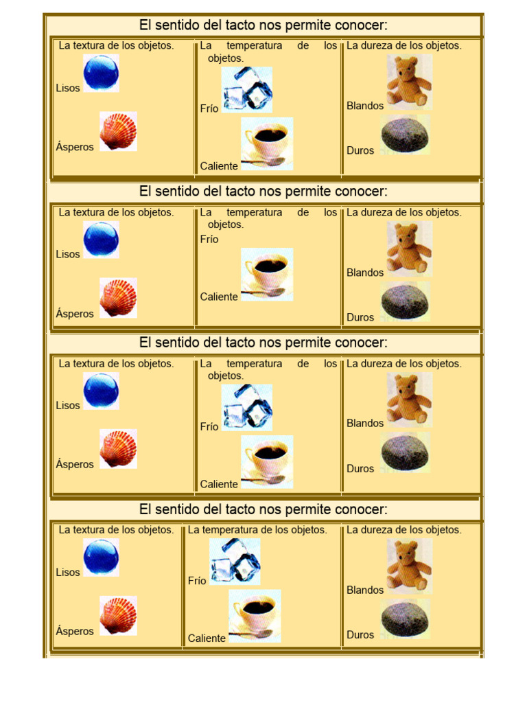 CUADERNO DE CIENCIA El Sentido Del Tacto Nos Permite Conocer | PDF ...