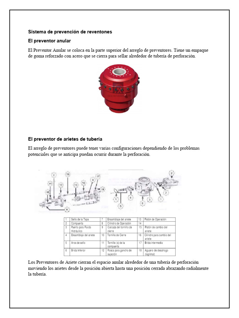 Prevencion de Reventores | PDF