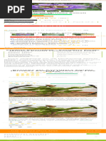 DOA Agreement | PDF | Letter Of Credit | Financial Transaction
