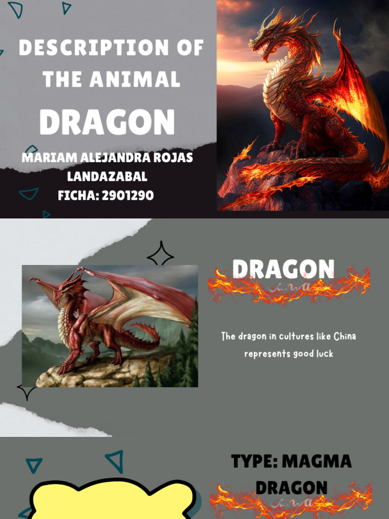 Evidence 3 Write A Detailed Report | PDF | Young Adult