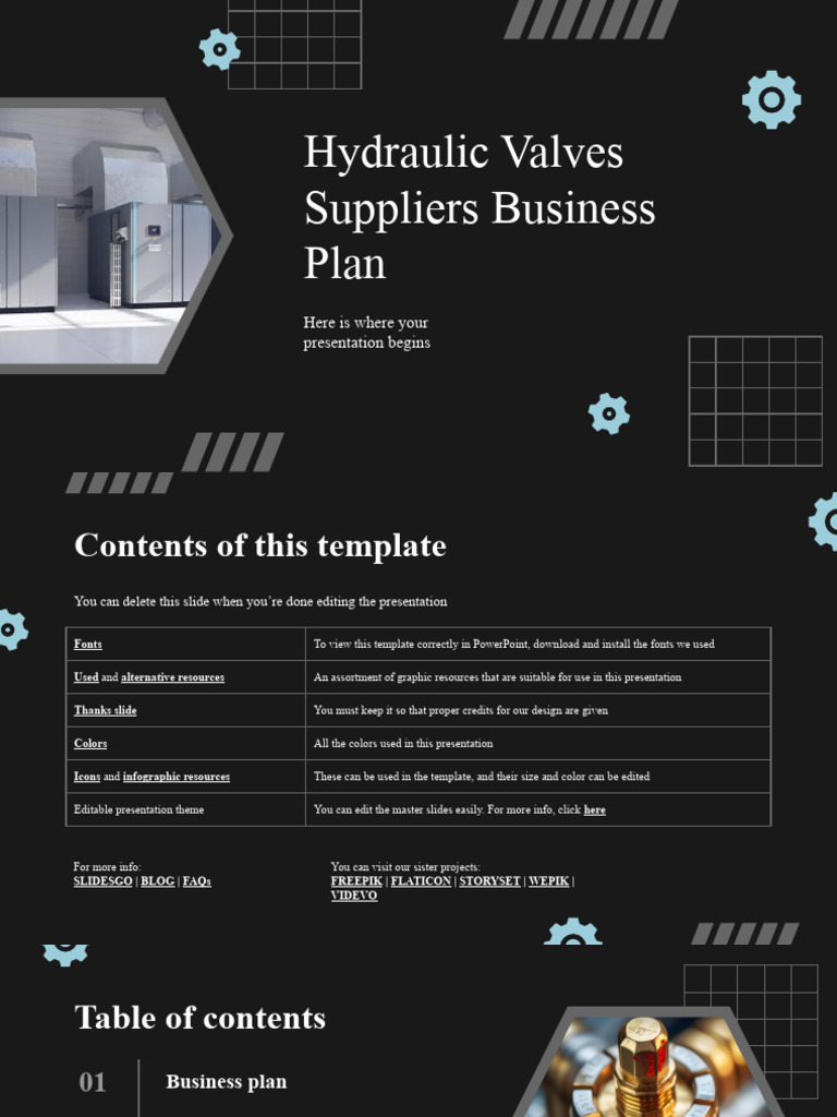 Hydraulic Valves Business Plan | PDF | Business Model | Marketing