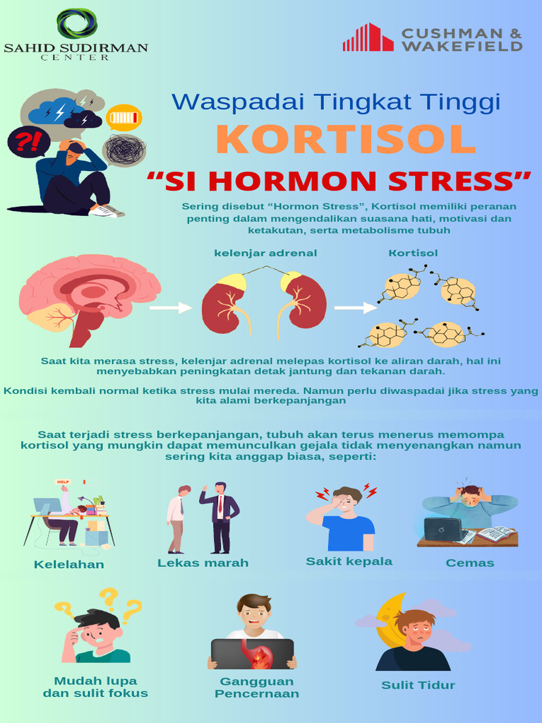 Kortisol Hormon Stress | PDF | Pengembangan Diri | Kesehatan Holistik