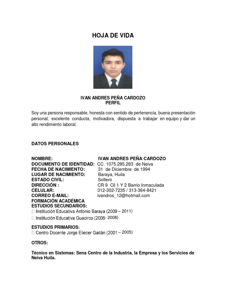 Hoja de Vida Ivan Andres P-1 | PDF