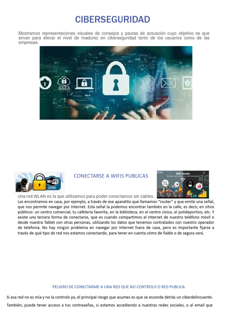 ciberseguridad | PDF | Seguridad | La seguridad informática