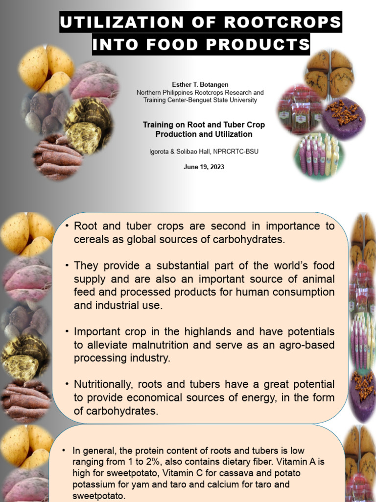 Esther Utilization of Rootcrops Into Food Products, Final | PDF | Foods ...