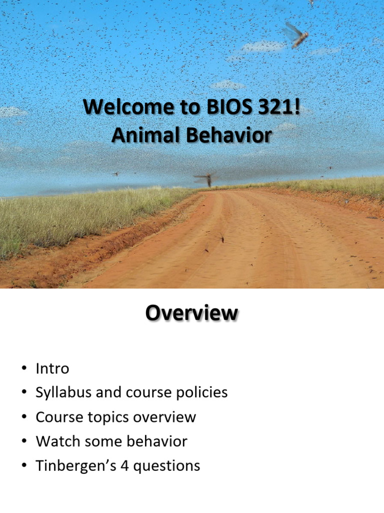 01 Lecture Animal Behavior Holt PDF | PDF | Ethology | Foraging