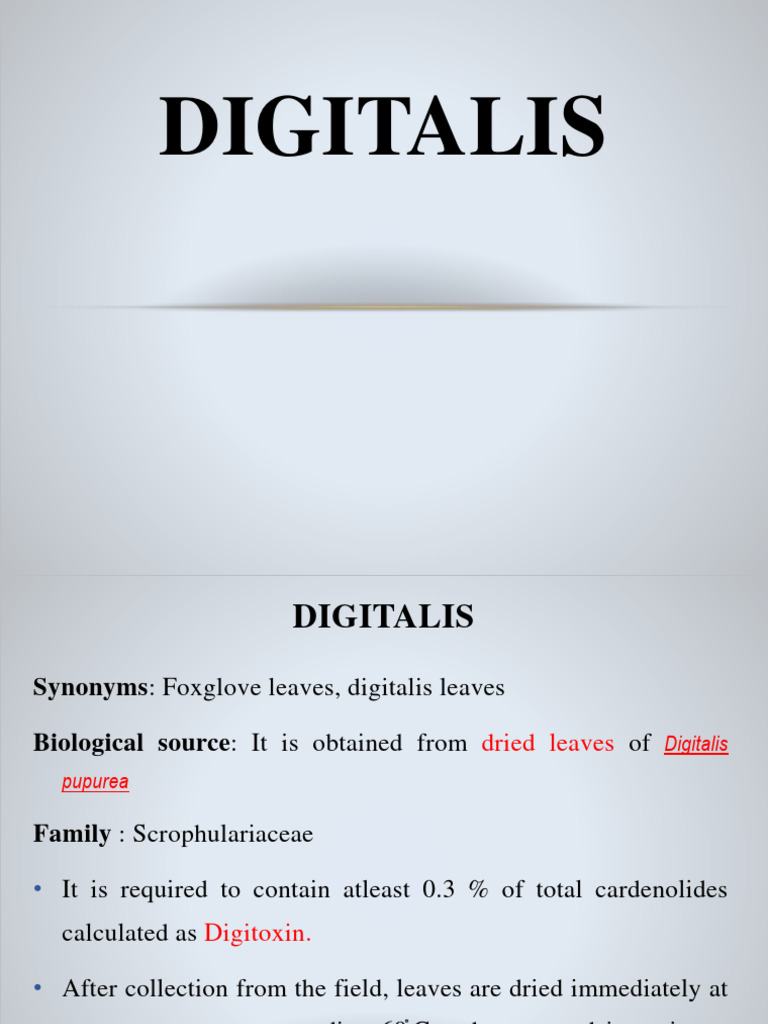 Pharmacognosy of Digitalis | PDF | Plants | Botany