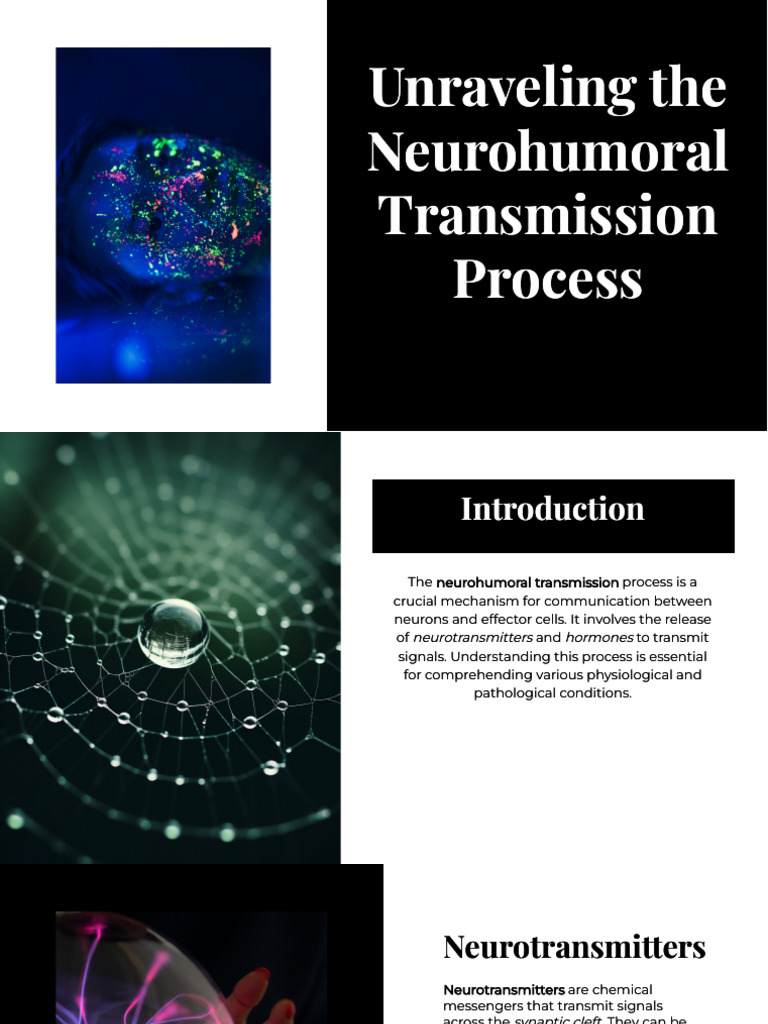 Wepik Unraveling The Neurohumoral Transmission Process ...