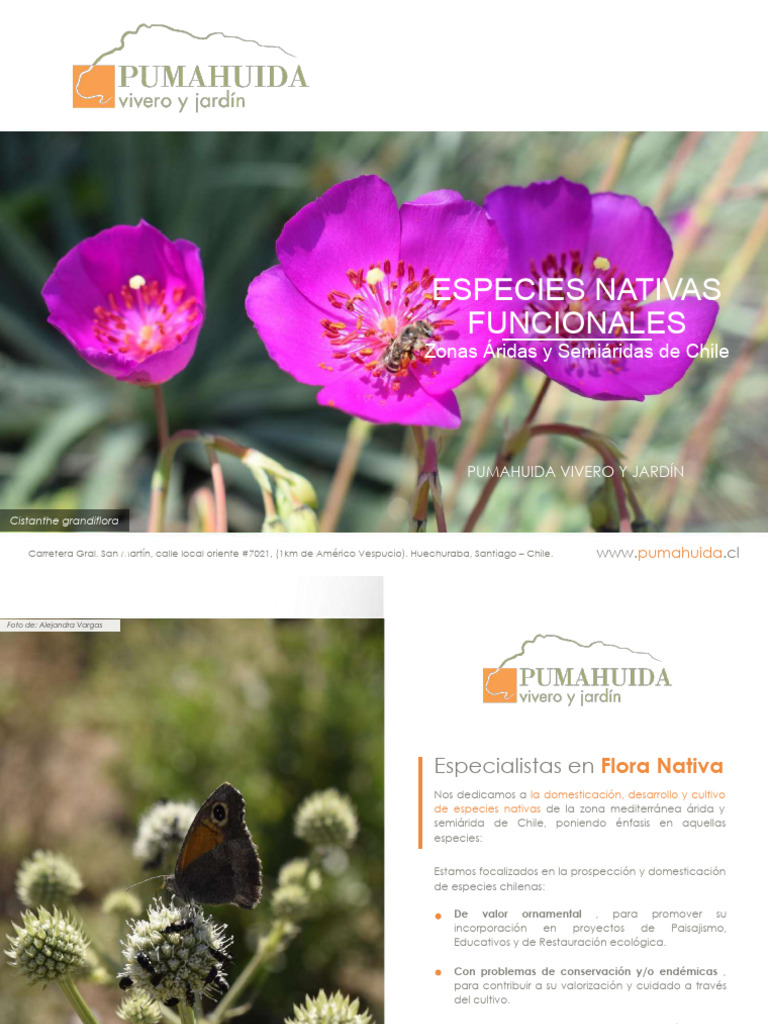 Especies Nativas Funcionales para Zonas Áridas y Semiáridas de Chile - PPTX 1 1 - Compressed ...