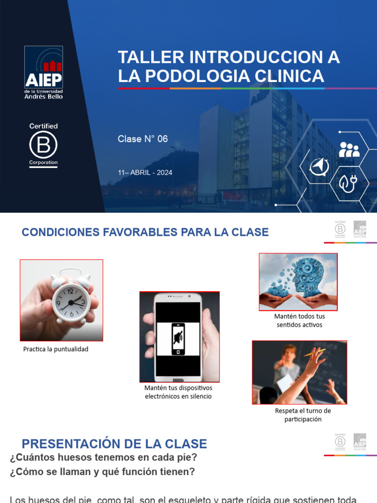 Anatomía y Tipos de Pies en Podología | PDF | Pie | Dedo del pie