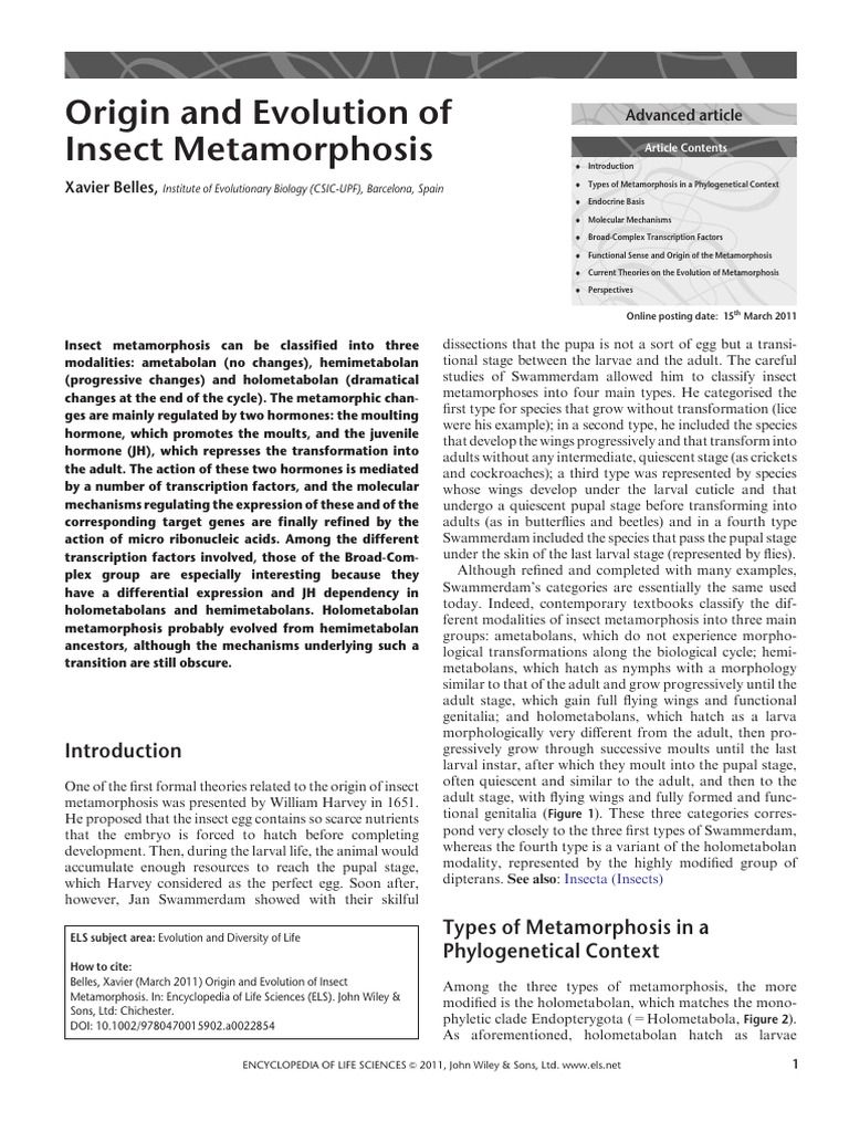 2011 Belles ELS | PDF | Insects | Biology
