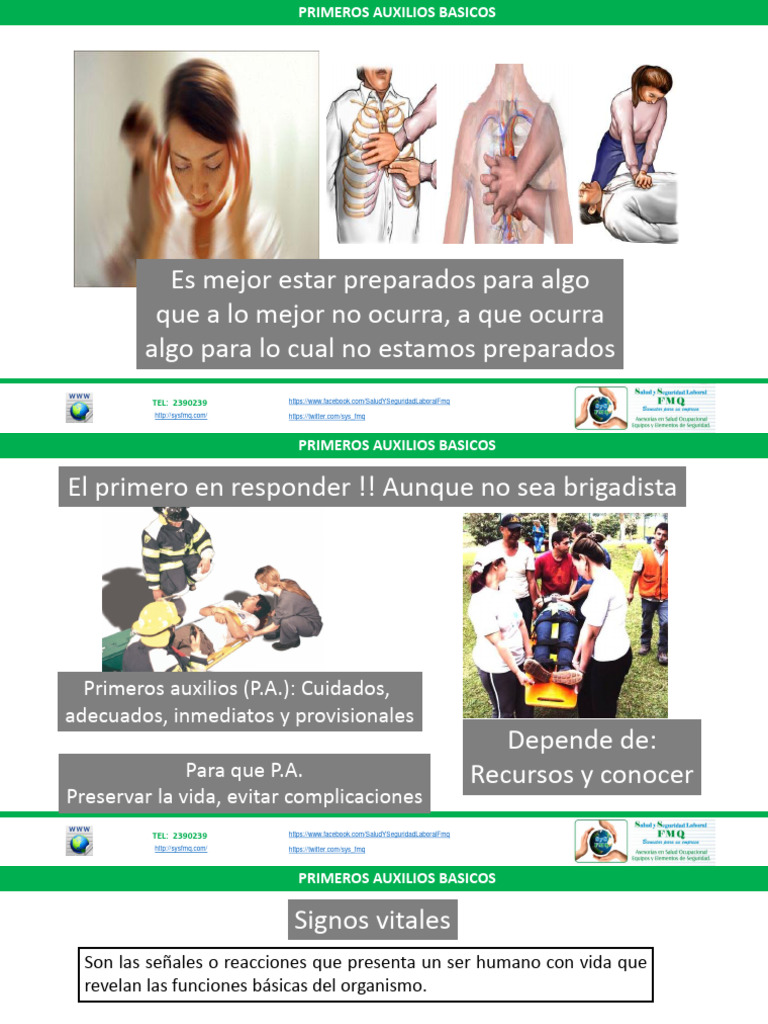 Primeros Auxilios Basicos | PDF | Primeros auxilios | Reanimación cardiopulmonar