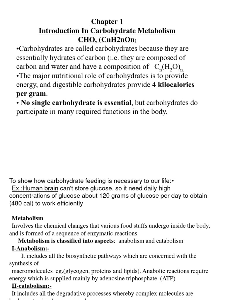 Lec 1 Carb | PDF | Glycolysis | Cellular Respiration