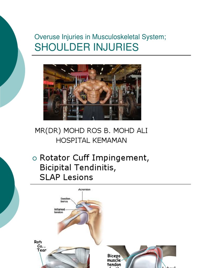 Shoulder | PDF | Shoulder | Joints