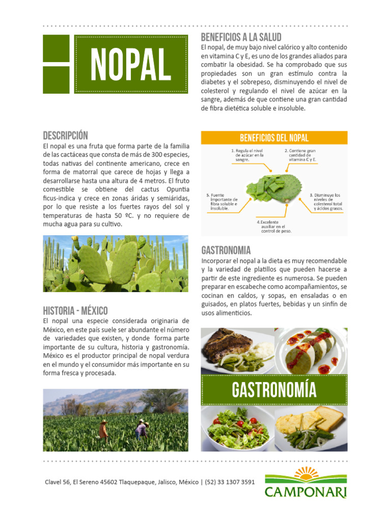 Día del Nopal en México: Cultura y Beneficios | PDF | Cocina | Alimentos
