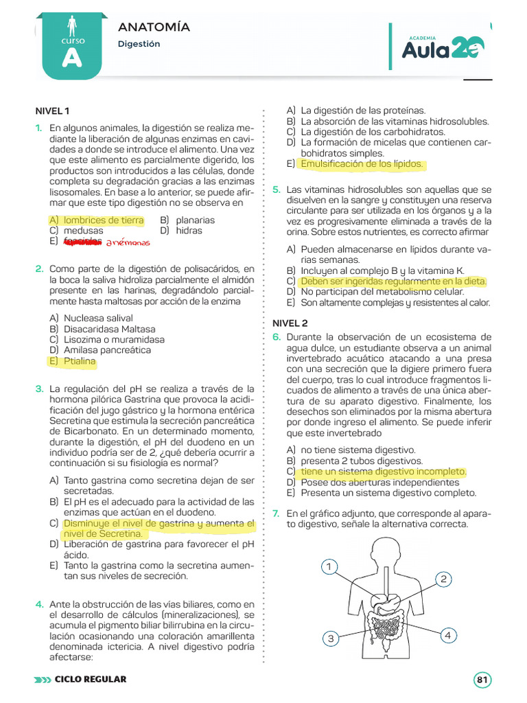 Corregido X Enviar - BOLETÍN REGULAR - SEMANA 5 - Anatom - 230506 - 180331 | PDF | Digestión ...