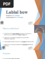 Lecture 15 Labial Bow and Springs | PDF | Orthodontics | Dentistry Branches