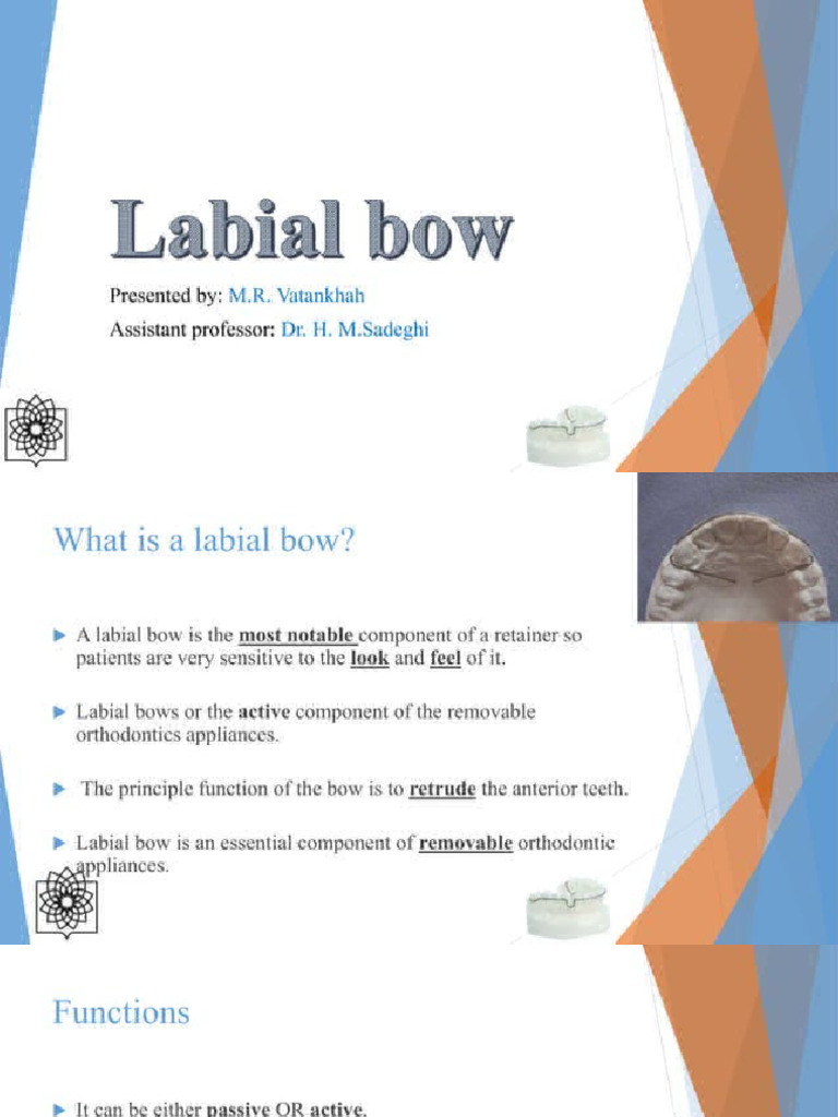 Labial Bow 21 Apr 24 07 00 30 | PDF