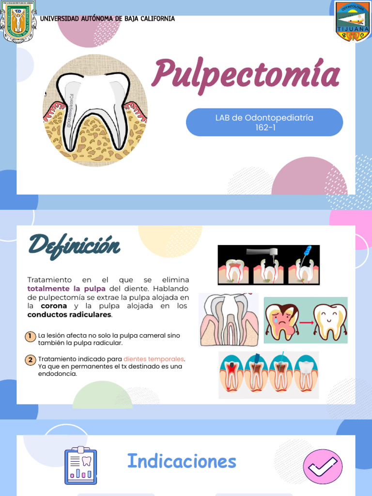 Pulp Ecto Mia | PDF | Anatomia dental | Especialidades Medicas
