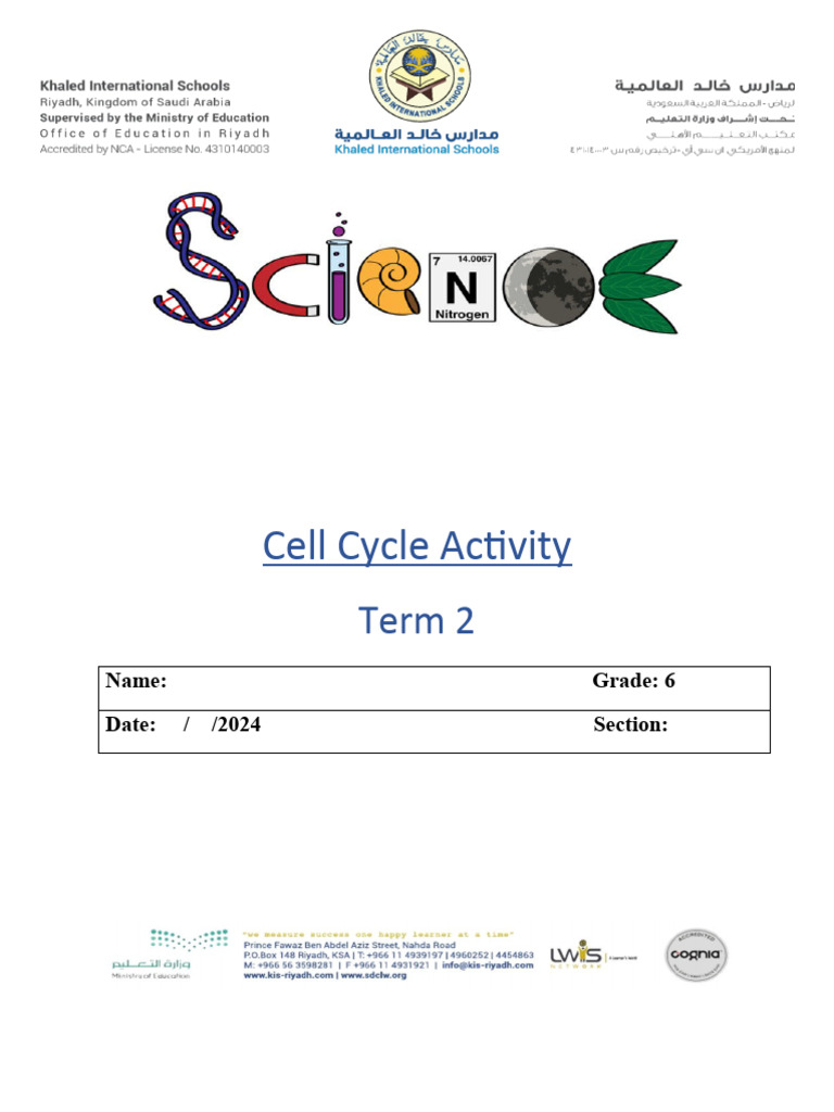 Cell Cycle Activity | PDF