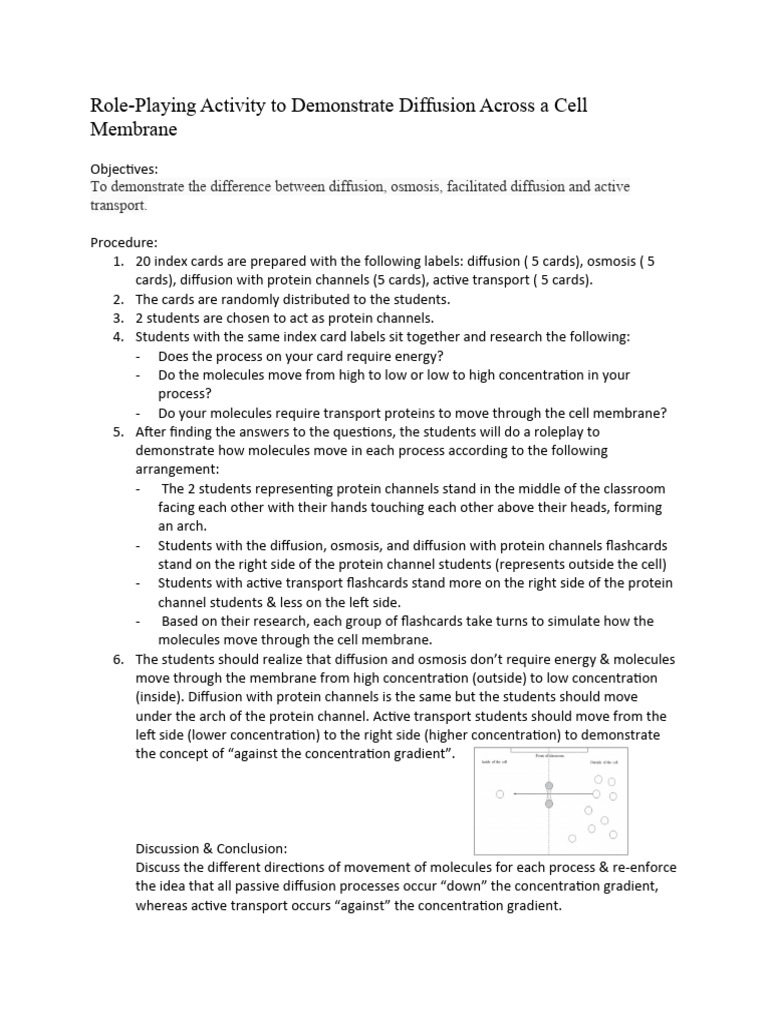 Role Playing Activity | PDF | Osmosis | Diffusion