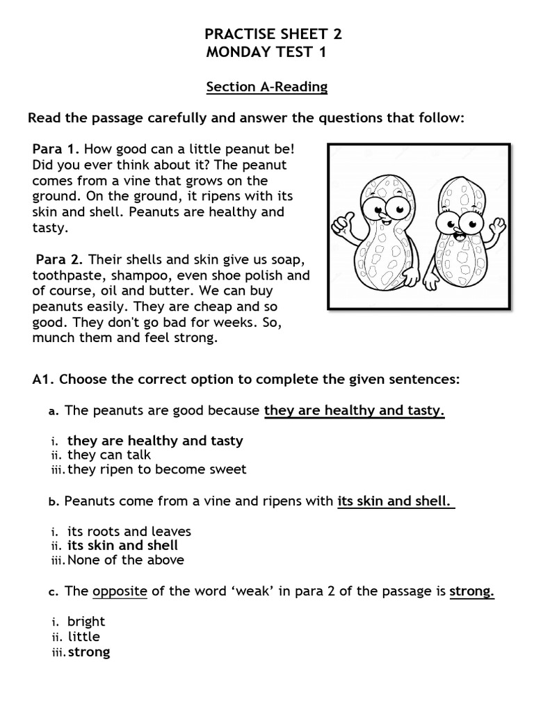PRACTISE SHEET 2 Answer Key | PDF | Foreign Language Studies