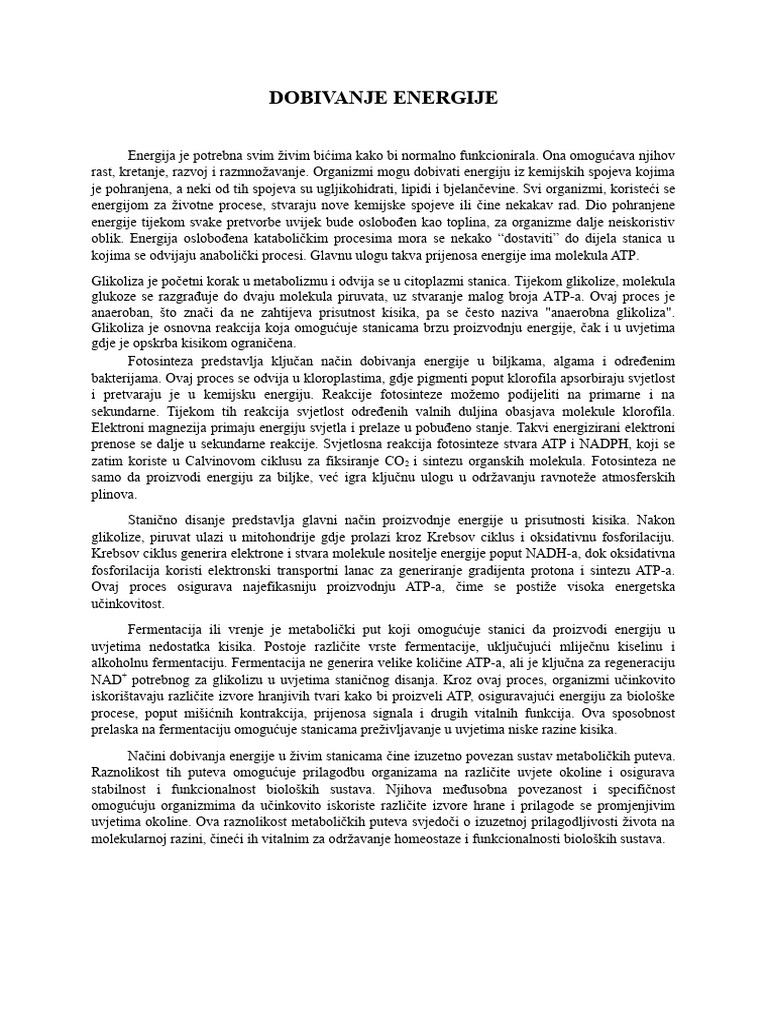 Dobivanje Energije | PDF