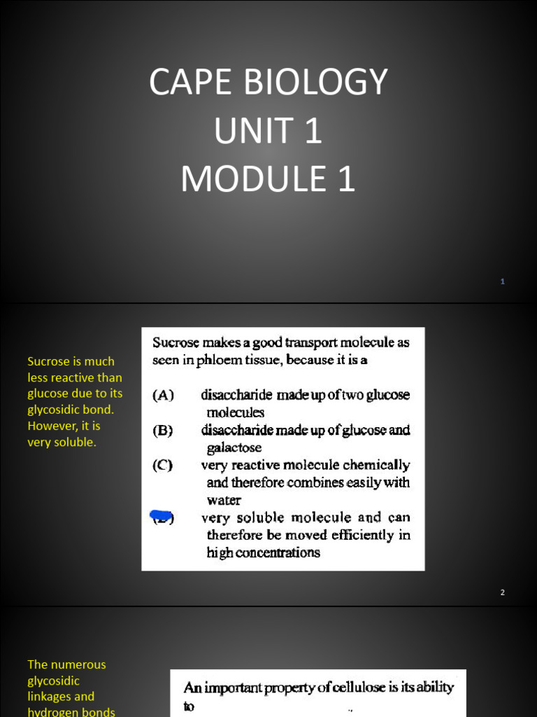 CAPE Biology Unit 1 Key Concepts | PDF | Meiosis | Ploidy