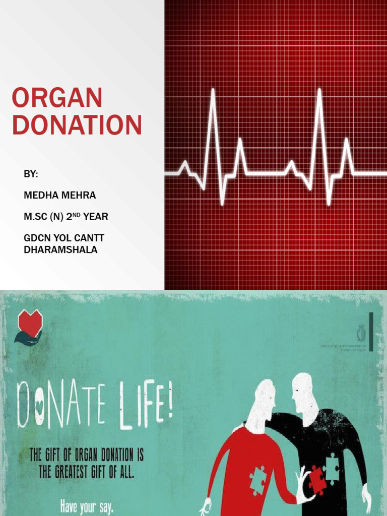 Understanding Organ Donation Basics | PDF | Organ Transplantation ...