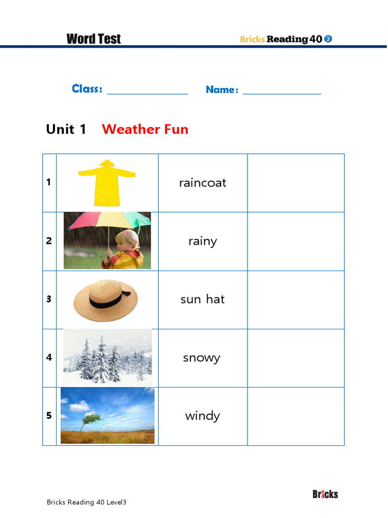 Bricks Reading 40 - L3 - Word Test - Eng | PDF