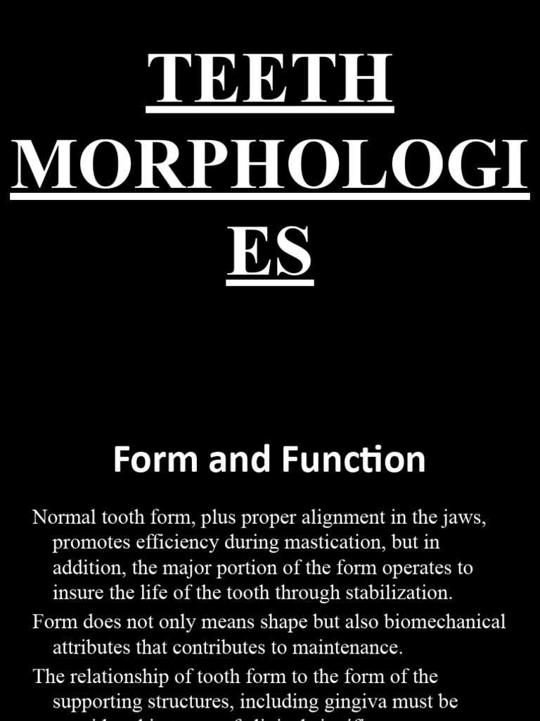 Physiologyoftoothformfunctin1 TOOTH MORPHOLOGY | PDF | Dental Anatomy ...
