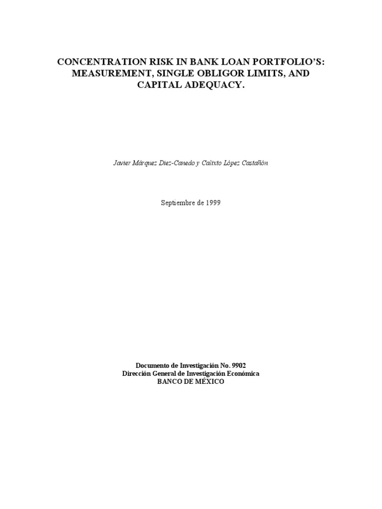 Concentration Risk in Bank Loan Portfolio'S: Measurement, Single ...