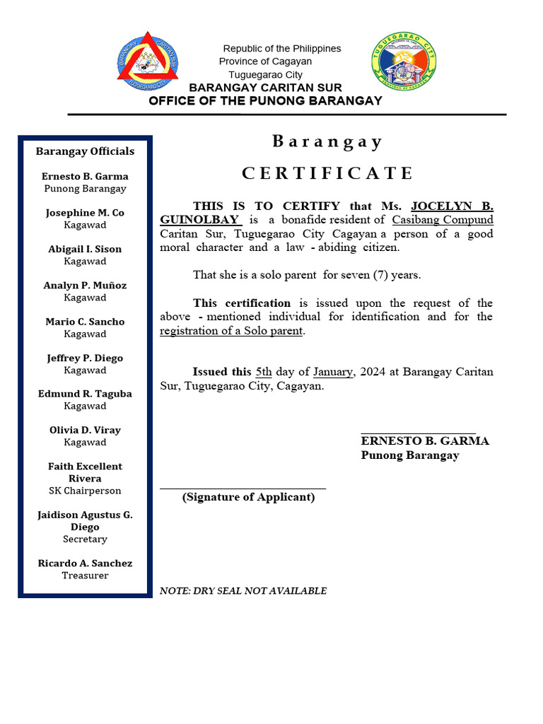 Brgy. Certificate_Solo Parent | PDF