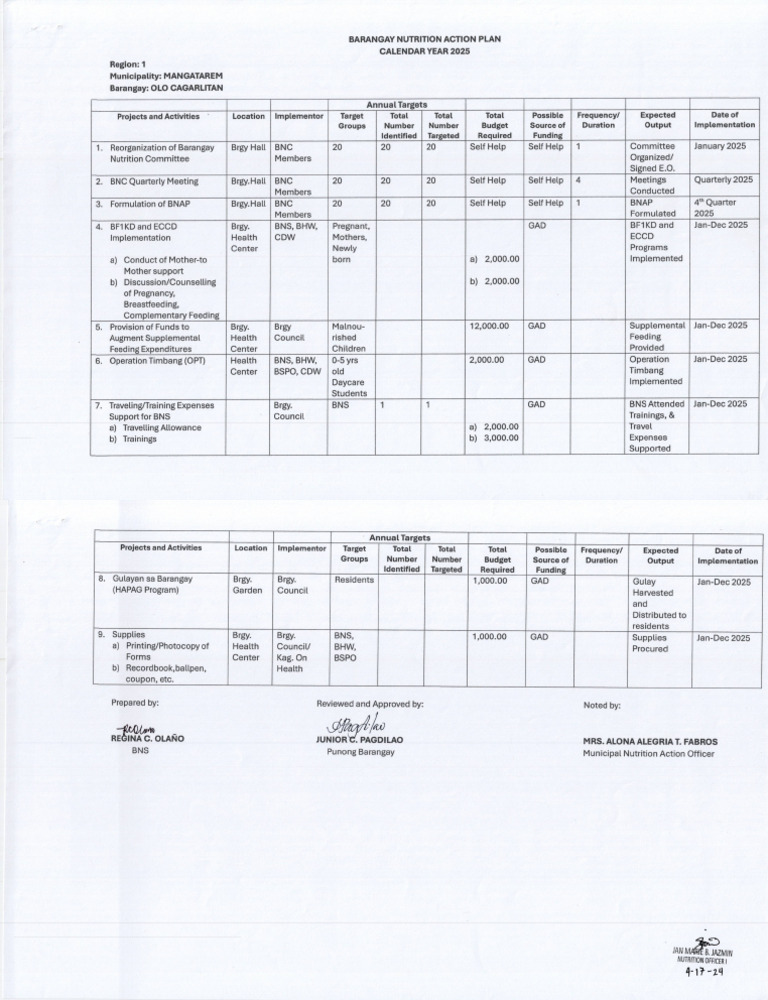 BARANGAY NUTRITION ACTION PLAN 2024 | PDF