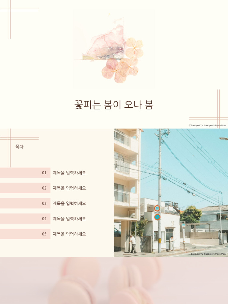 Blowyourmind SBPPT | PDF