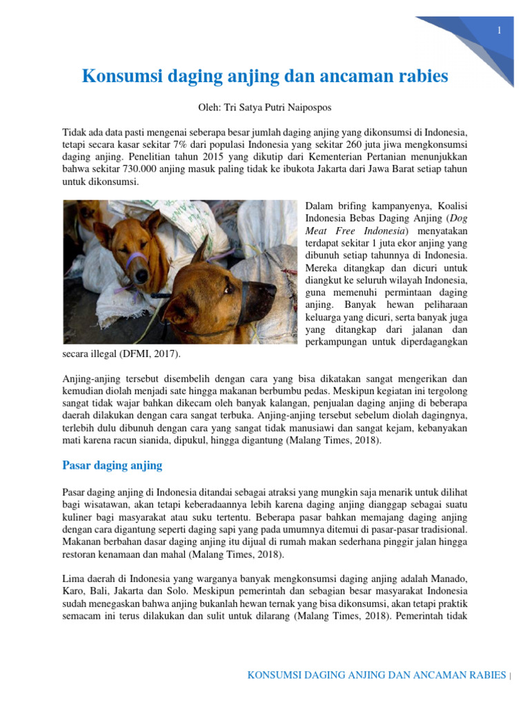Konsumsi Daging Anjing Dan Ancaman Rabie | PDF