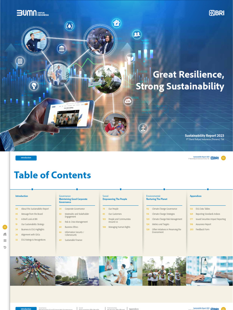 SR-BRI-2023-EN | PDF | Sustainability | Governance