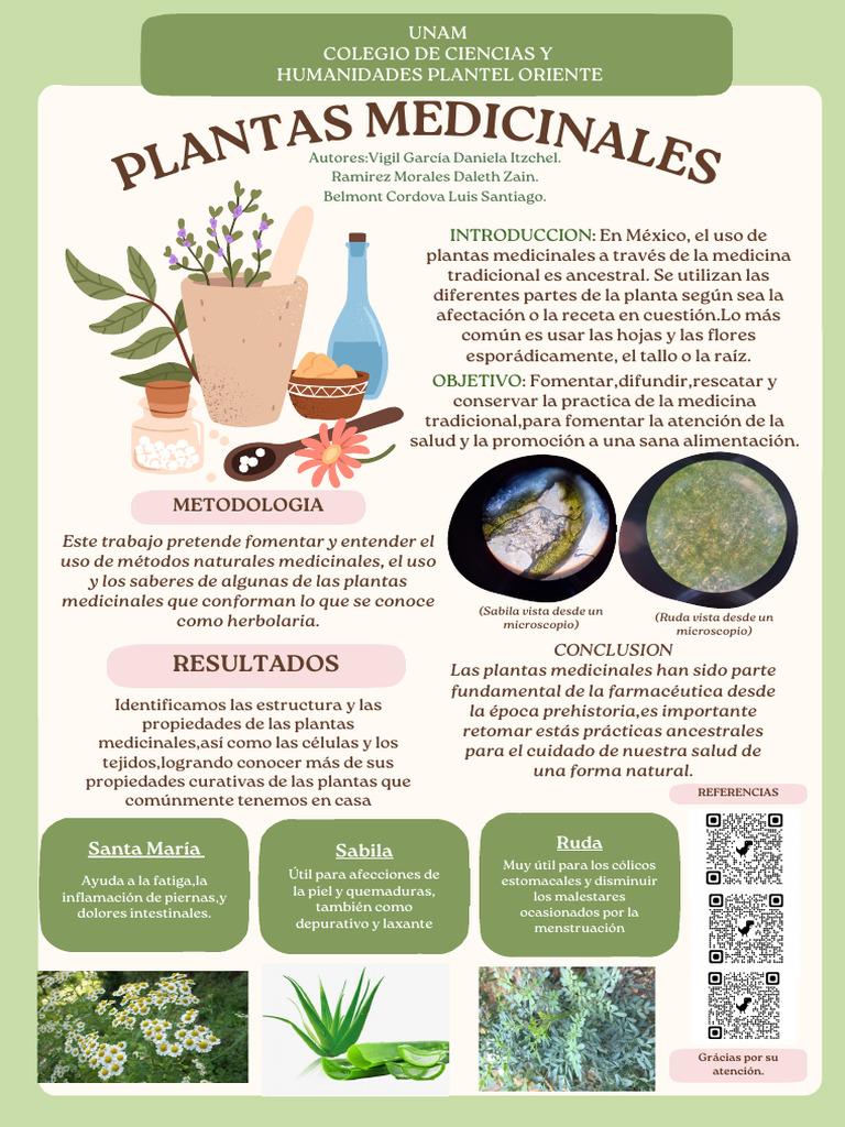 Propiedades Curativas de Plantas Medicinales | PDF | Biología