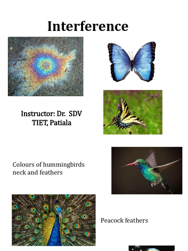 Interference | PDF | Wavelength | Materials Science