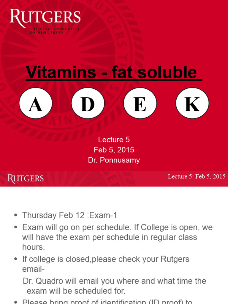 Overview of Fat-Soluble Vitamins | PDF | Vitamin A | Nutrients