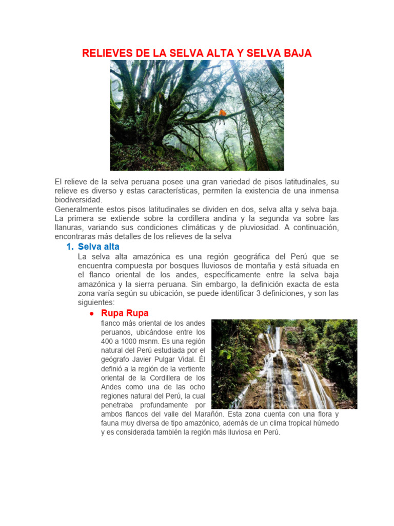 Relieves de Selva Alta y Baja Perú | PDF | Geografía Física | Ciencias ...