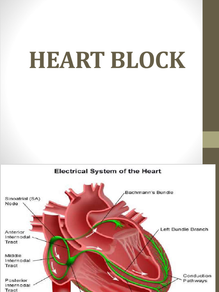 heart block_11 | PDF | Heart | Cardiovascular Physiology