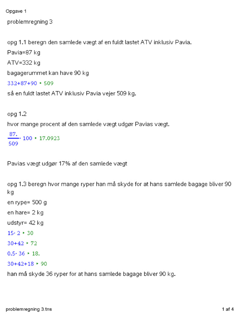 Problemregning 3 | PDF
