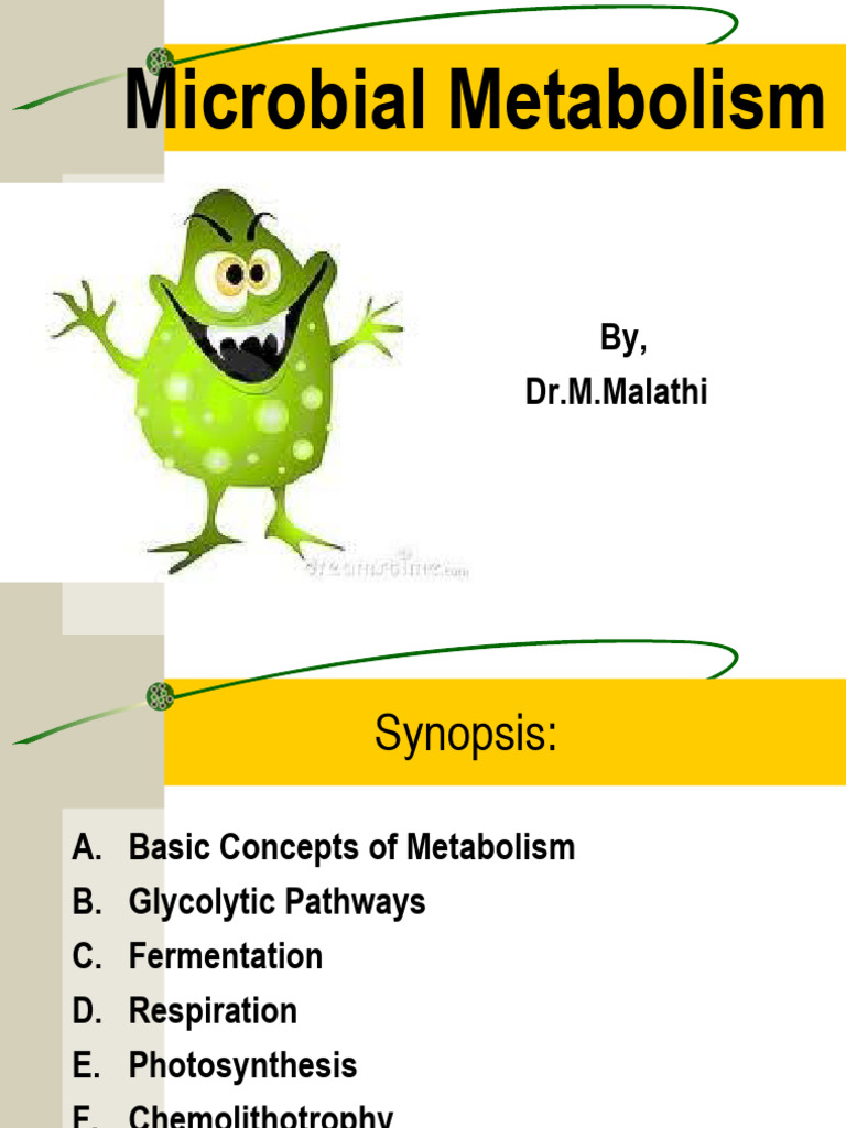 Microbial Metabolism Overview and Pathways | PDF | Redox | Photosynthesis
