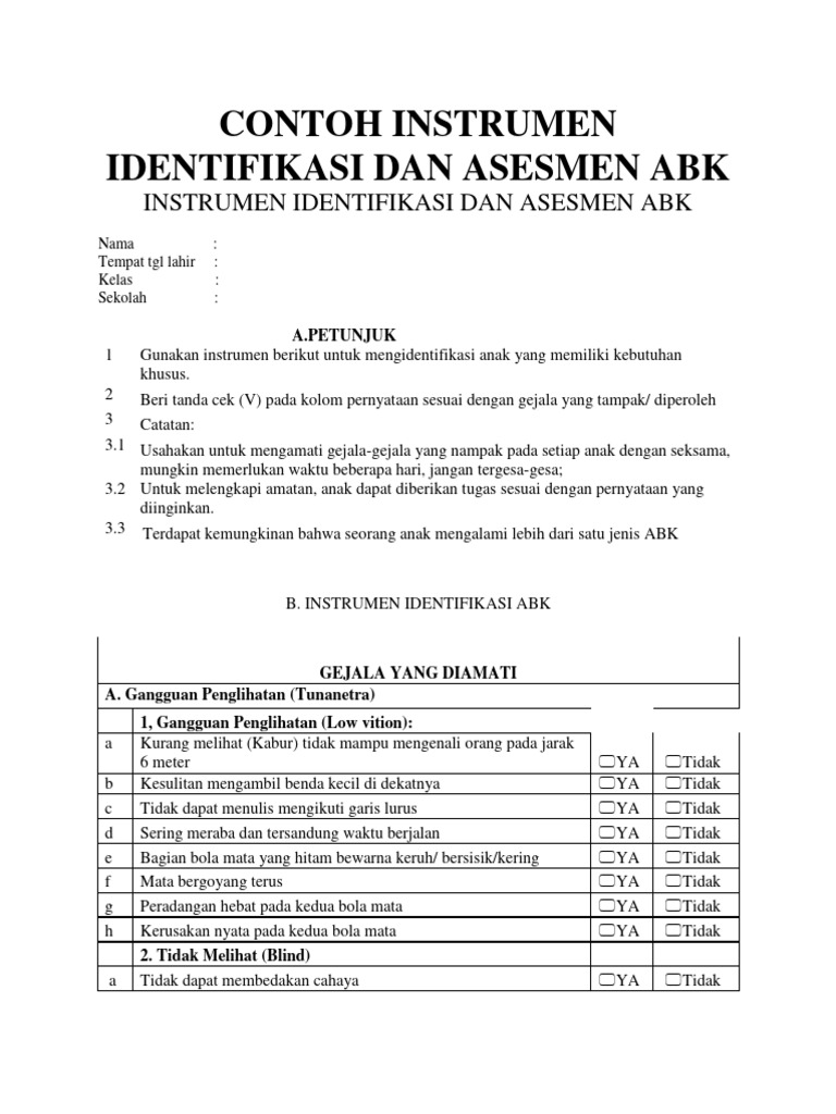CONTOH INSTRUMEN IDENTIFIKASI DAN ASESMEN ABK | PDF
