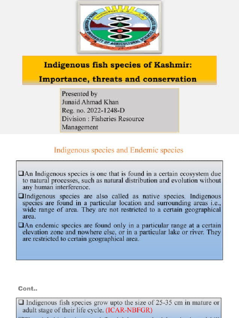 Indigenous Fish Species of Kashmir - PPTX - 20240526 - 193411 | PDF