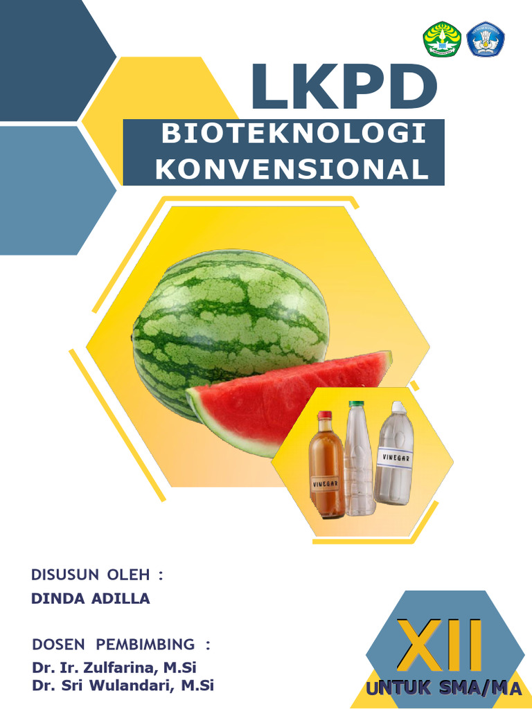 LKPD Dinda Fix | PDF