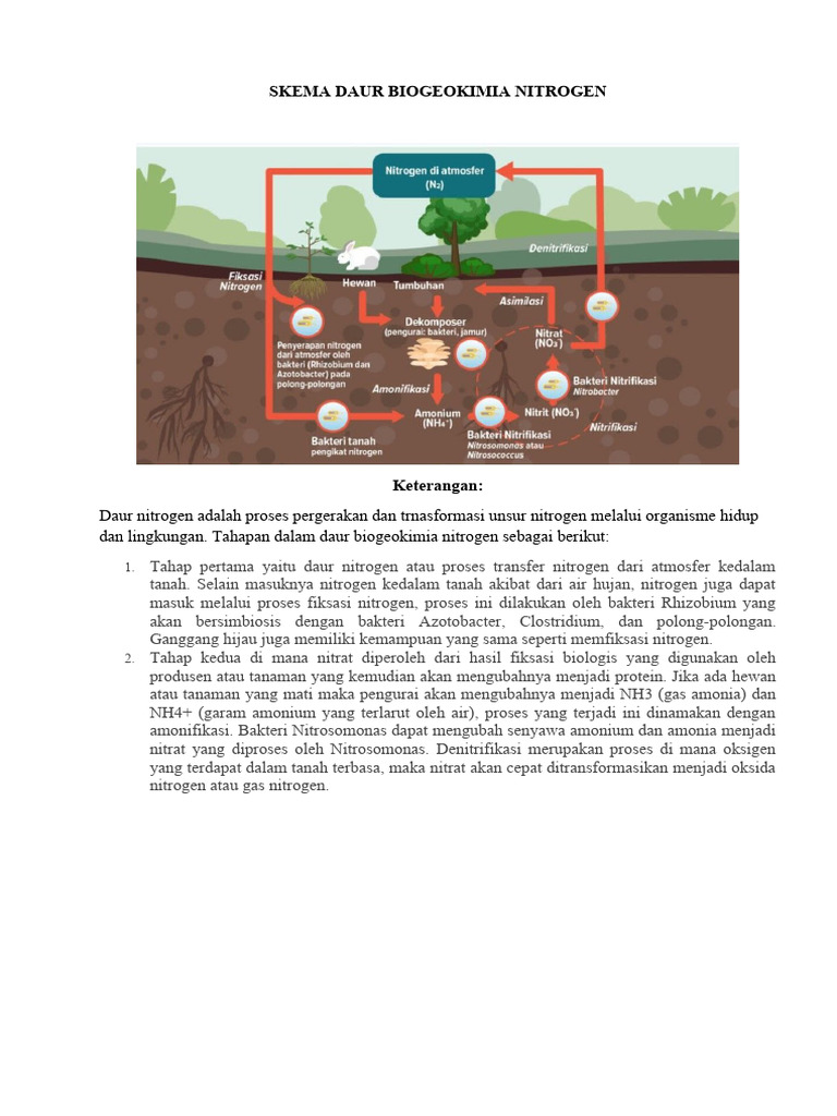 SKEMA DAUR BIOGEOKIMIA | PDF